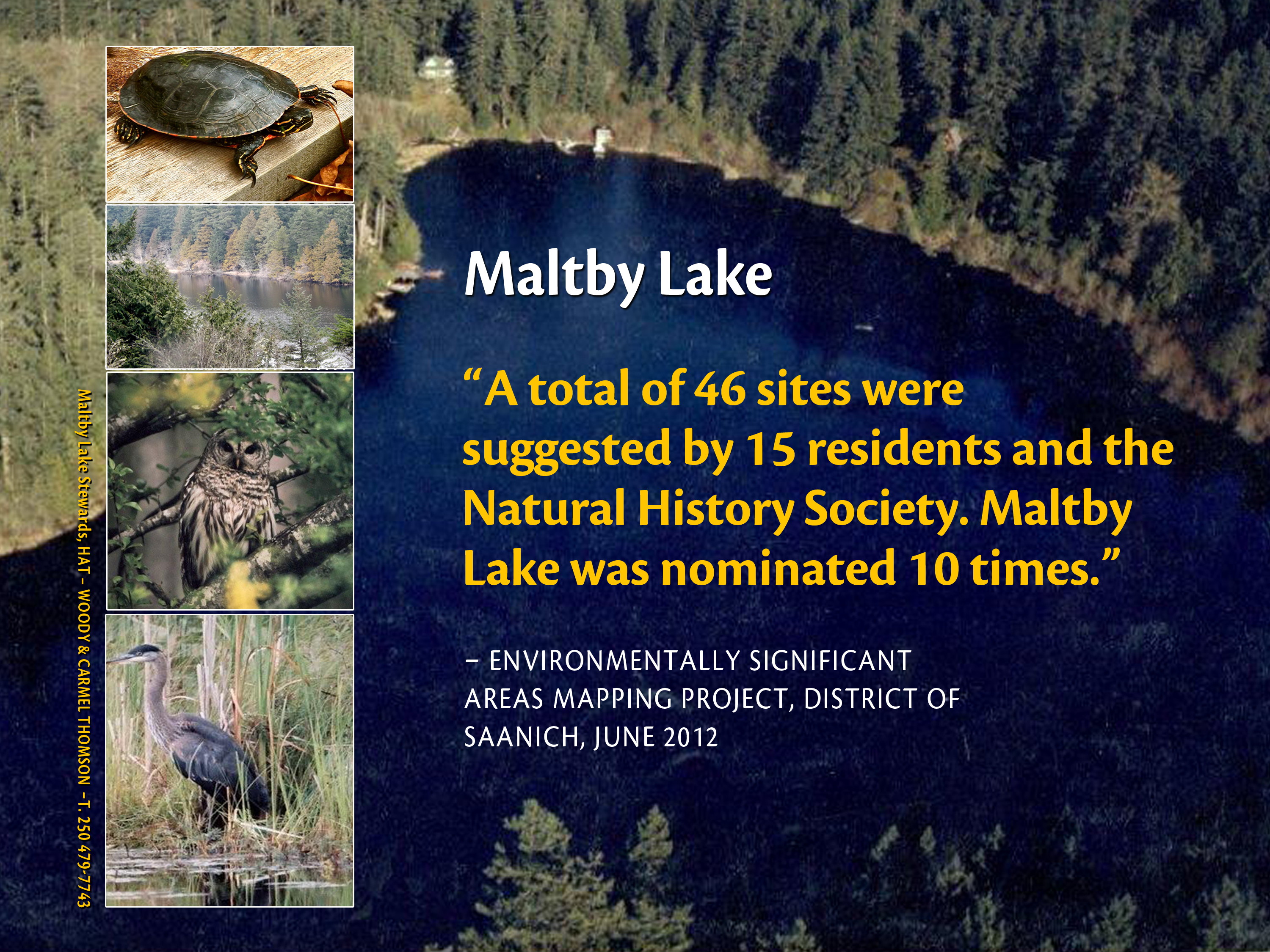Why Protect Maltby Lake? | Friends of Maltby Lake Watershed Society